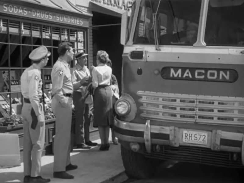 Local Knowledge: Welcome to the ‘very’ Cherry Blossom quiz – The Macon ...